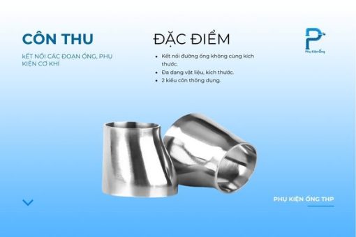 Côn thu là gì? Các loại côn thu phổ biến
